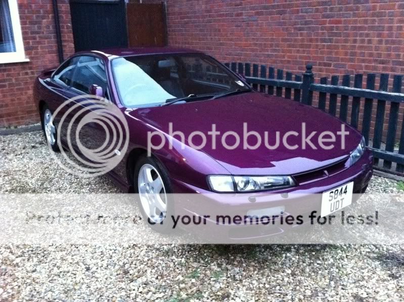 damson purple s14's pic request