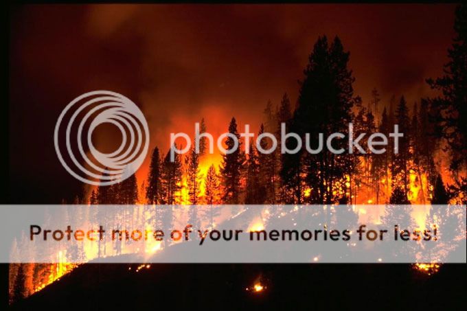 6 Cara Membuat Konten Anda Menyebar Seperti Api di Social Media ...