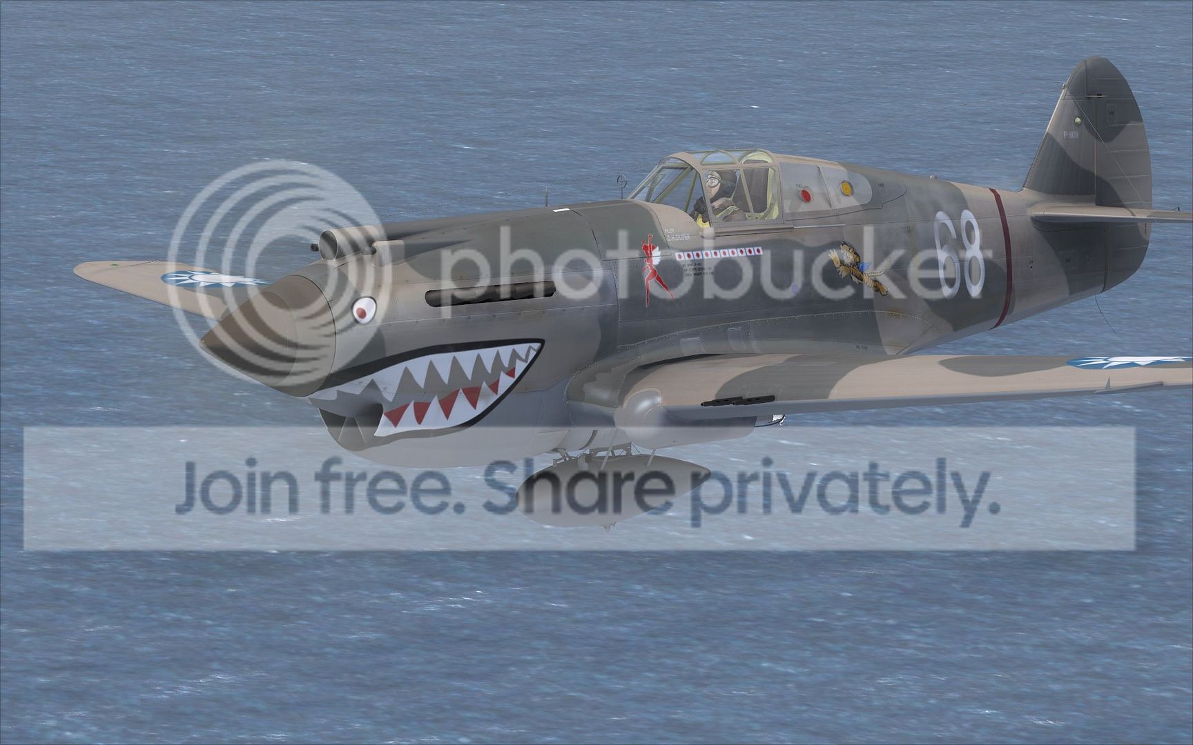 P-40C Robert Neale AVG ready for download - The A2A Simulations Community
