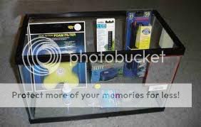 Procedures for setting up a proper quarantine for your fish | Reef2Reef