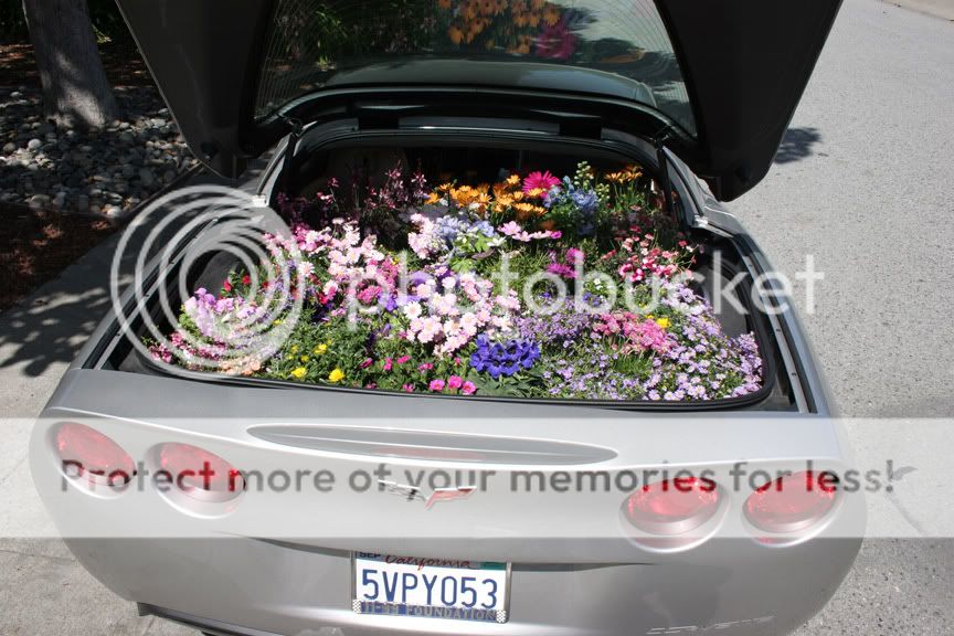 Flower Power Vette - CorvetteForum - Chevrolet Corvette Forum Discussion