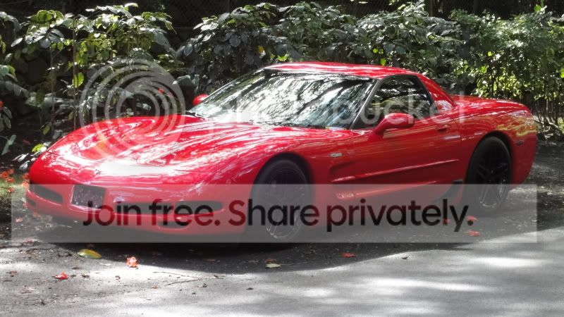 TOOK A FEW SHOTS - Dial up Nightmare - CorvetteForum - Chevrolet ...
