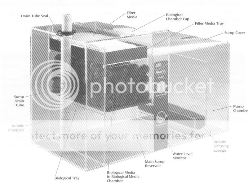 Initial Impressions AGA MegaFlow Sump Filter | AquariaCentral.com