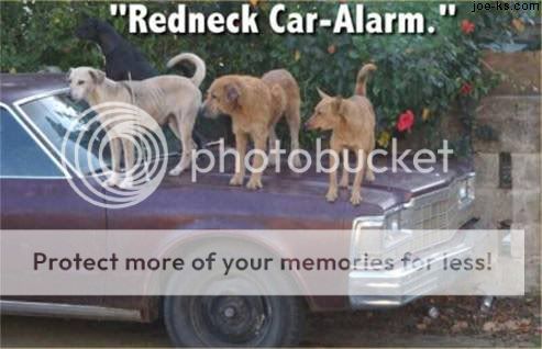 Theft Deterrent System - CorvetteForum - Chevrolet Corvette Forum ...