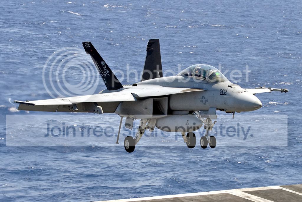 "Fear The Bones"-VFA-103 'Jolly Rogers' 70th Anniversary - FighterControl