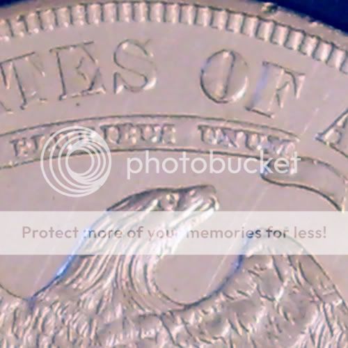 Scratched DBD? | Coin Talk