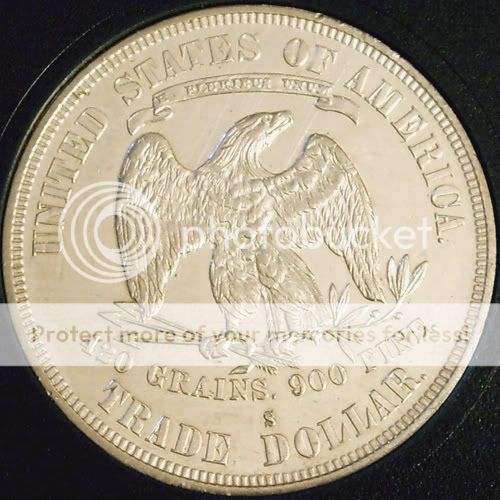 Scratched DBD? | Coin Talk