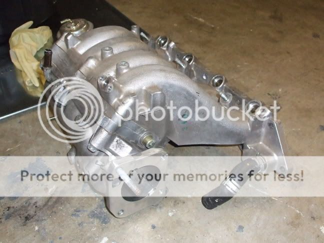 evap purge hose | Team Integra Forums