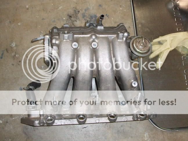 evap purge hose | Team Integra Forums