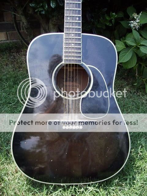 Alvarez 5013 - Acoustic Guitars - Harmony Central