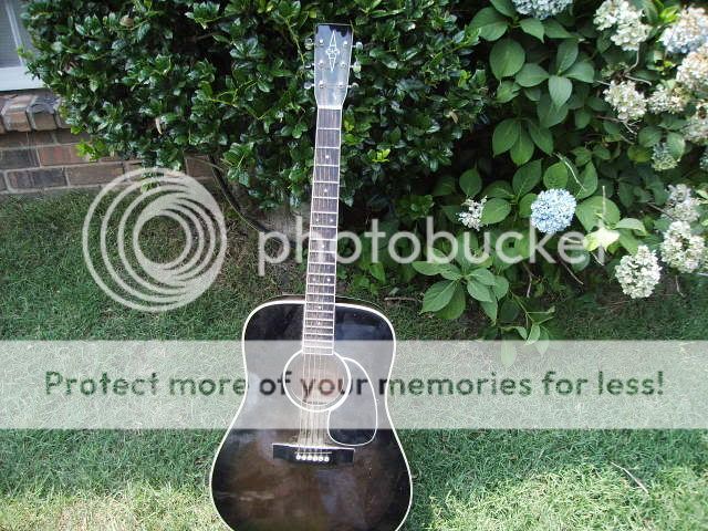 Alvarez 5013 - Acoustic Guitars - Harmony Central