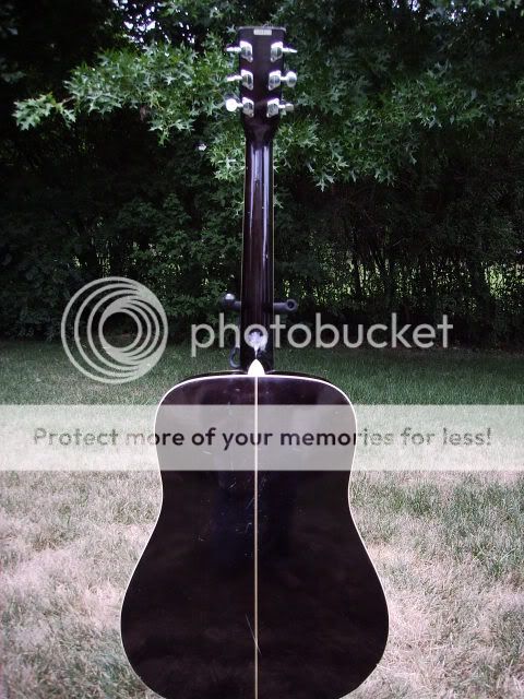 Alvarez 5013 - Acoustic Guitars - Harmony Central