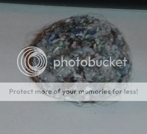 why is belly button fluff always blue? | Page 1 | Naked Science Forum