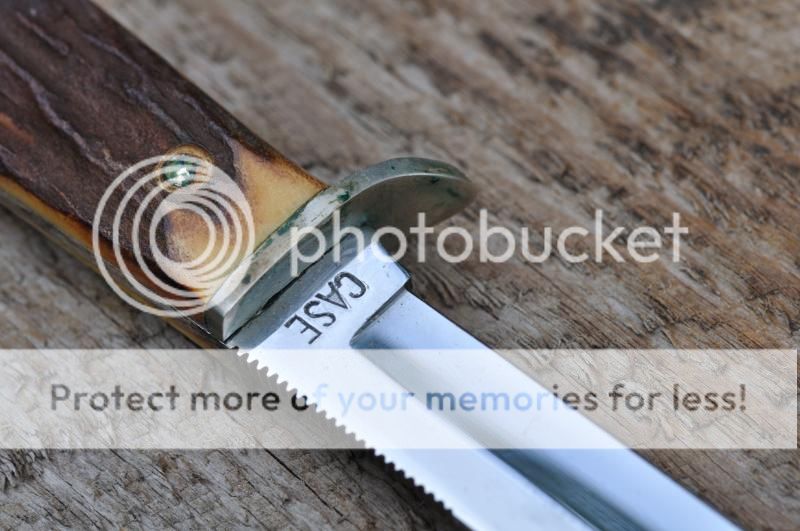 Case Fixed Blades | BladeForums.com