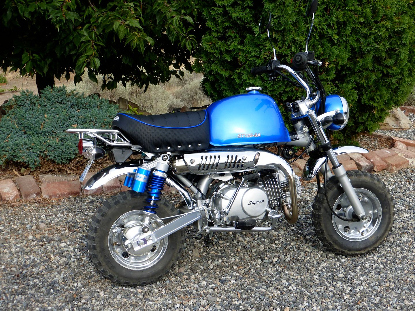 Lets see everyone's Z50/Monkey/Gorilla! | Page 79 | PlanetMinis Forums