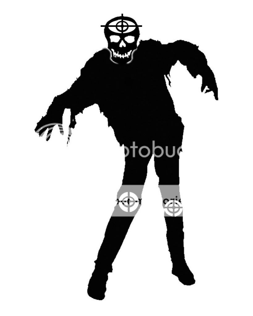 Appleseed 250pt AQT Target Upload | Rimfire Central Firearm Forum