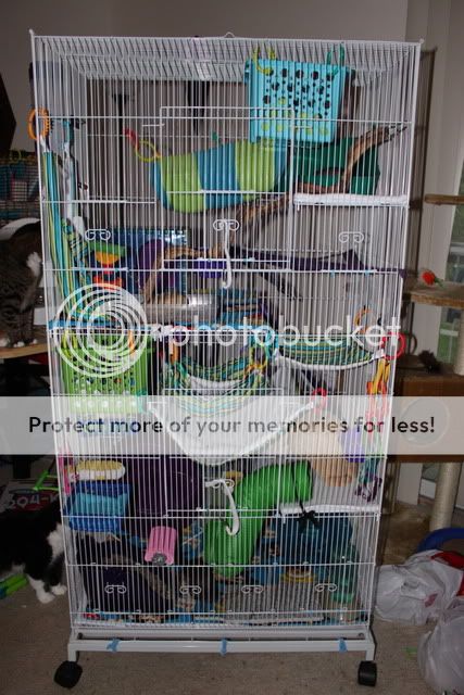 Show me your modified cages! | The Rat Shack - Pet Rat Forum