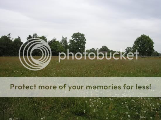 zuring in de wei • Bokt.nl