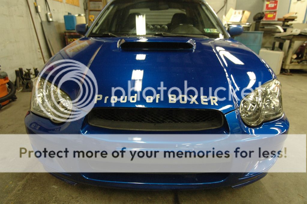 Proud of Boxer stickers! - NASIOC