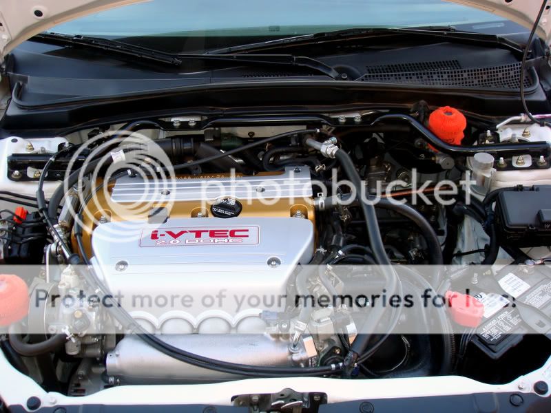 Show Us Your Engine Bay Thread! | Page 19 | Acura RSX, ILX and Honda ...