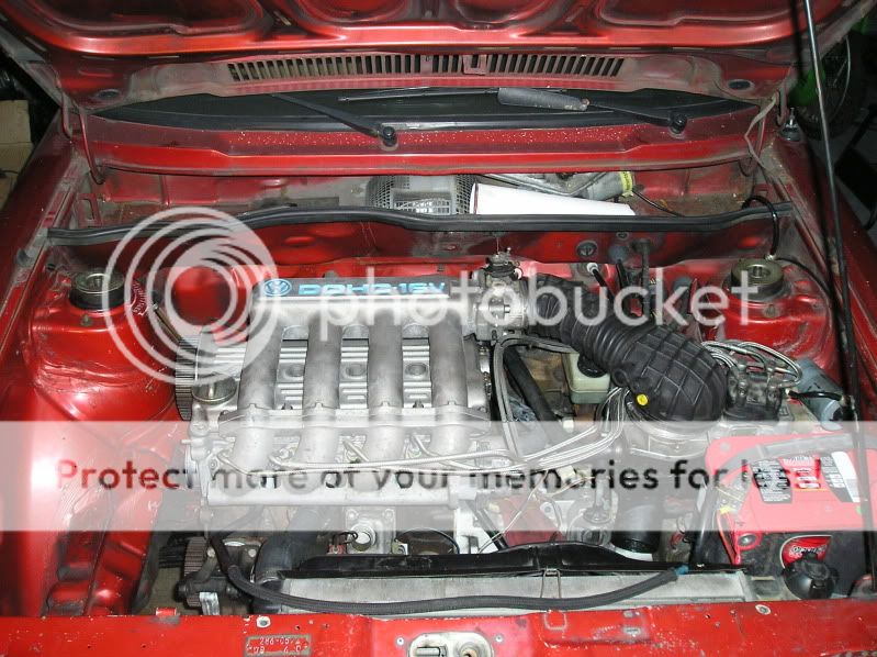 CIS Basic running a 16v motor | VW Vortex - Volkswagen Forum