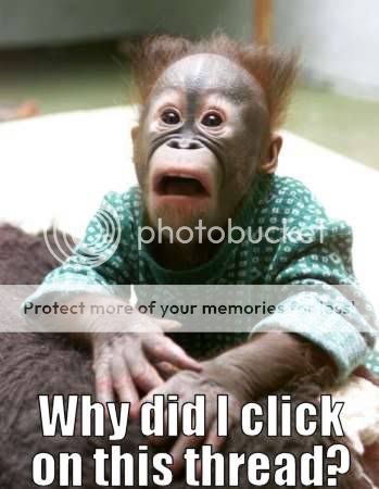 The Strange Questions Thread - General Chit-Chat - Zelda Universe Forums