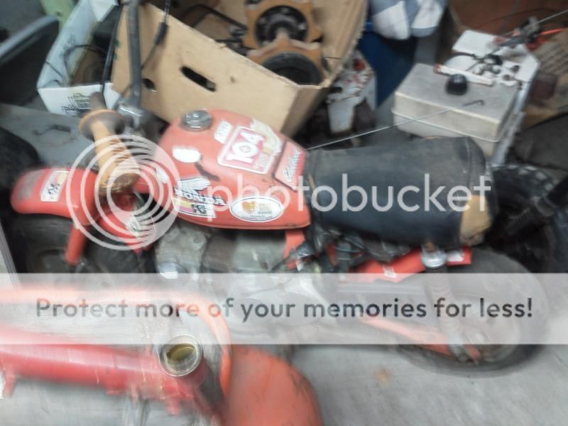 '79 Z50R rider AND a K1 mild custom | PlanetMinis Forums