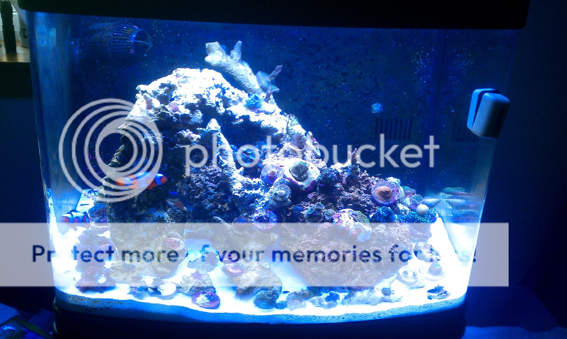 Biocube 29 Modifications