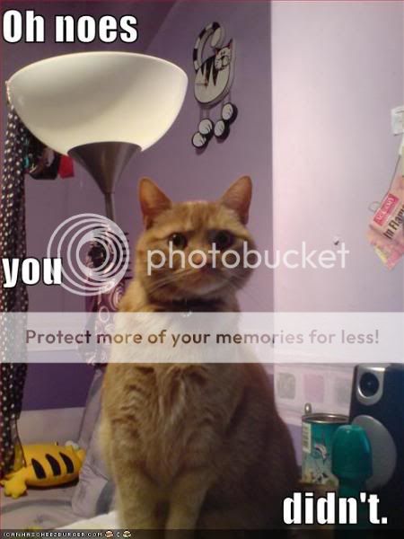 The Ultimate LOLcat Thread - Effects and Processors - Harmony Central