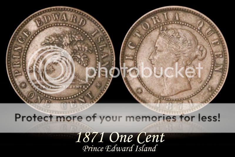 My Axial Lighting Setup Complete!! | Coin Talk