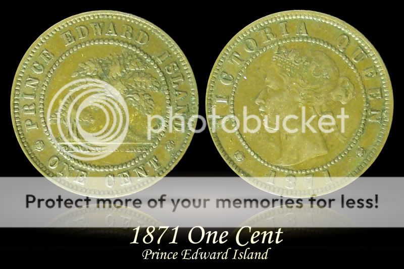 My Axial Lighting Setup Complete!! | Coin Talk