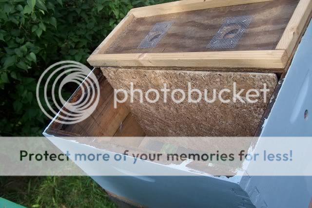 Queen Rearing | Homesteading Forum