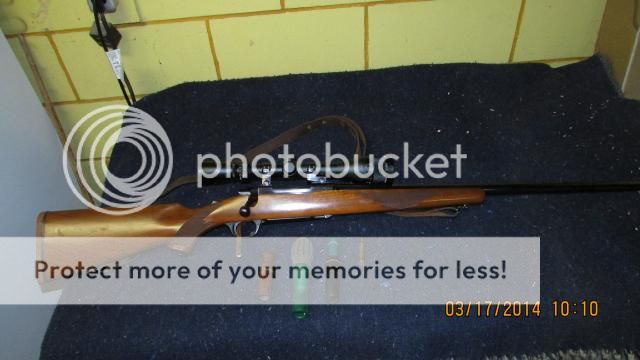 Favorite varmint rifle. | Graybeard Outdoors