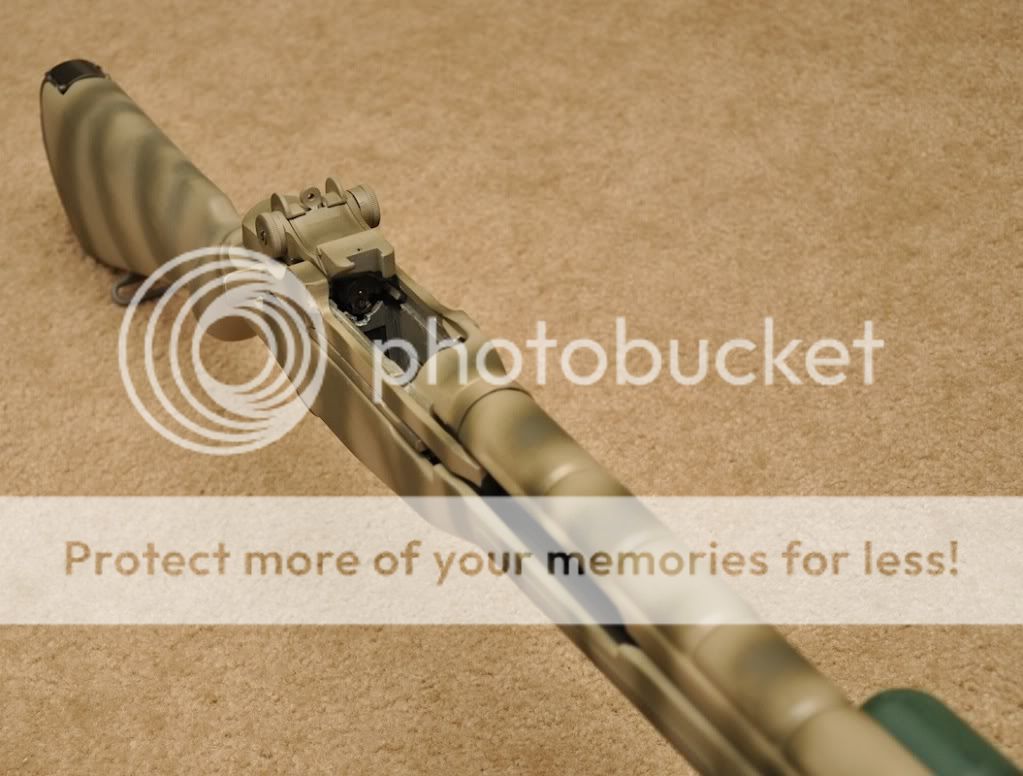 Painting the whole rifle? | M14 Forum