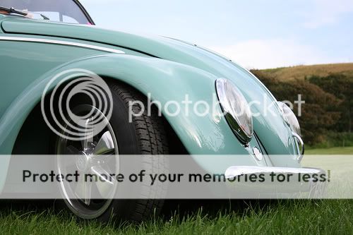 1961 Cal look Bug..The Turkis Pig | Volkszone Forum