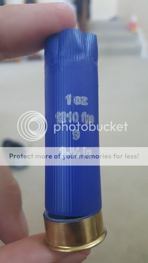 Rio shells | Shotgun Forum