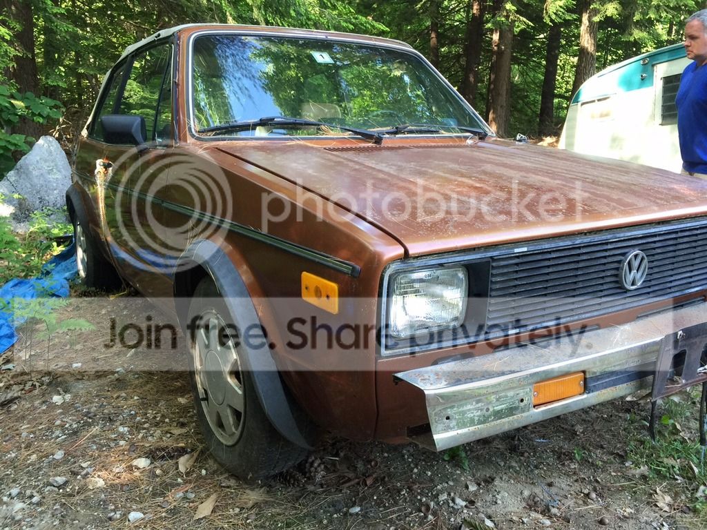 My new to me 81 Rabbit Convertible. | VW Vortex - Volkswagen Forum