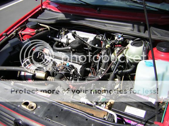 PICS OF CLEAN 8 VALVE ENGINE BAYS | VW Vortex - Volkswagen Forum