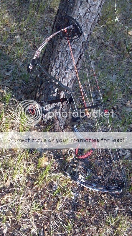 Strother Rush owners... | Archery Talk Forum