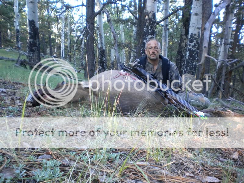 Just got back.... - Hunting Beast™ / The Hunting Beast™