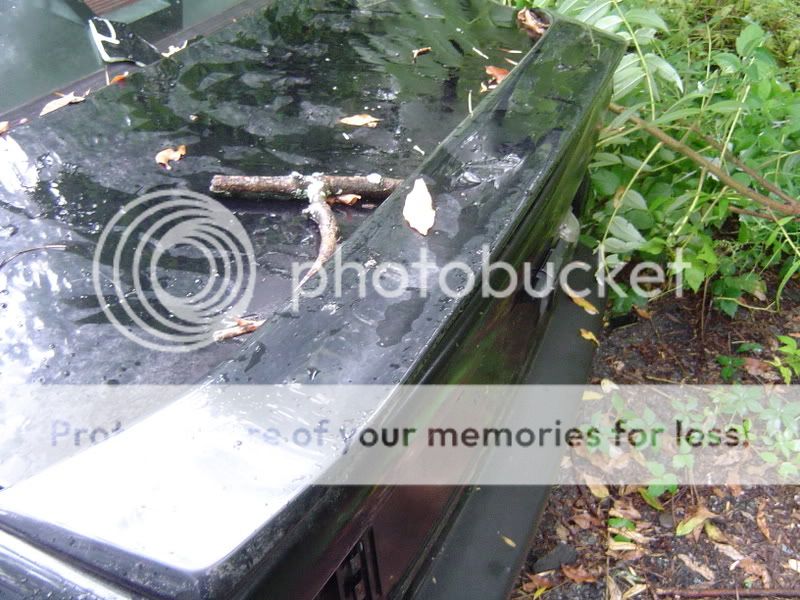 FS: black GLI trunklid with zender wing $200 obo | VW Vortex ...