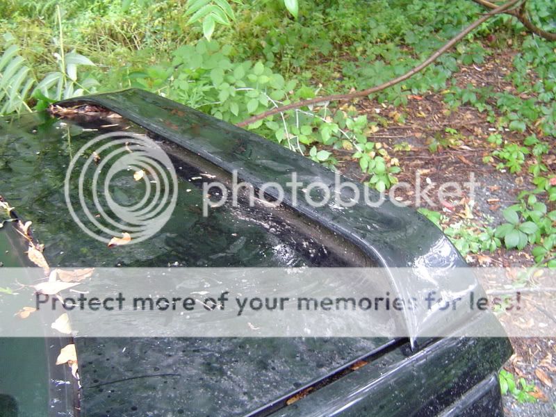 FS: black GLI trunklid with zender wing | VW Vortex - Volkswagen Forum