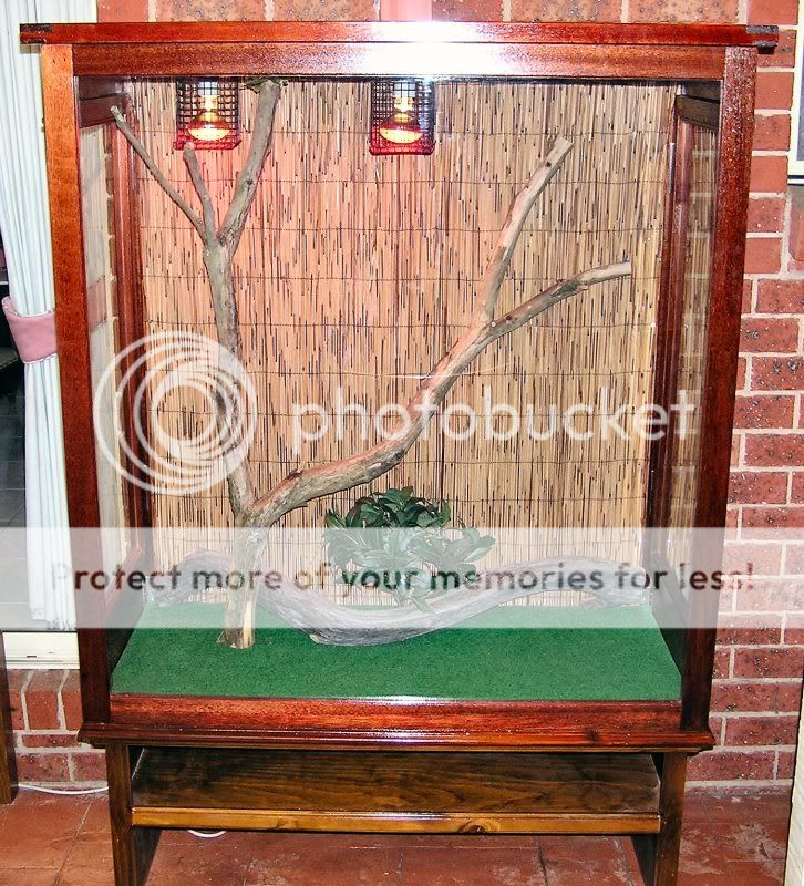enclosures you built | Page 2 | Aussie Pythons & Snakes Forum