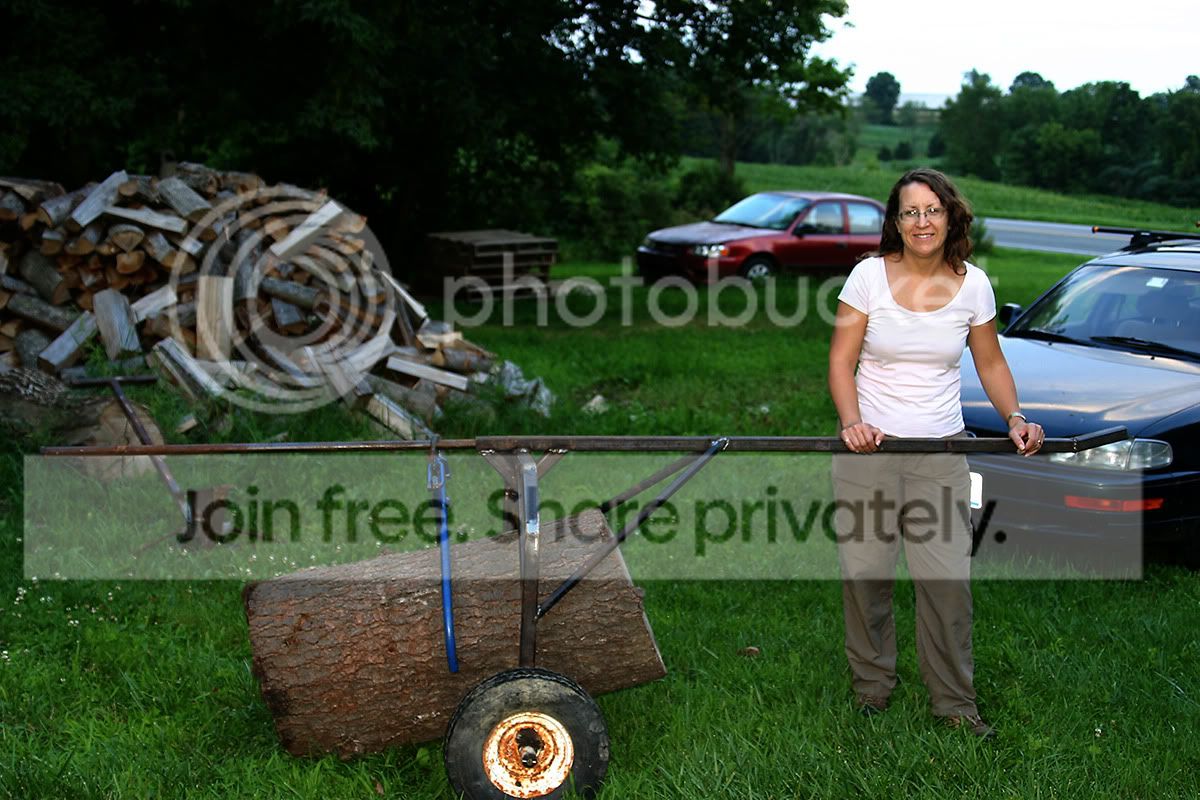 LogRite Junior Log Arch plans and photos | Hearth.com Forums Home
