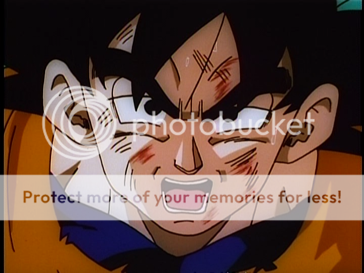 Dragonball Errors - Page 28 • Kanzenshuu