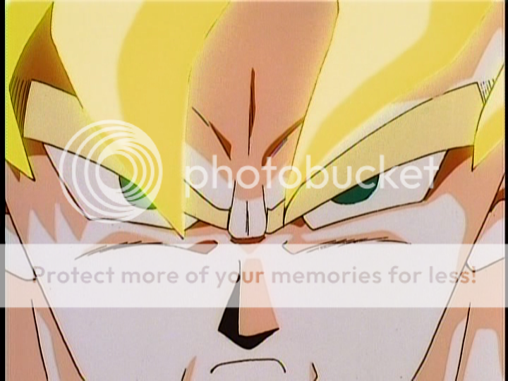 Dragonball Errors - Page 28 • Kanzenshuu