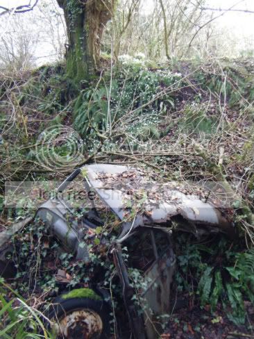 Drifting Astray A Stormy Sea Of Words