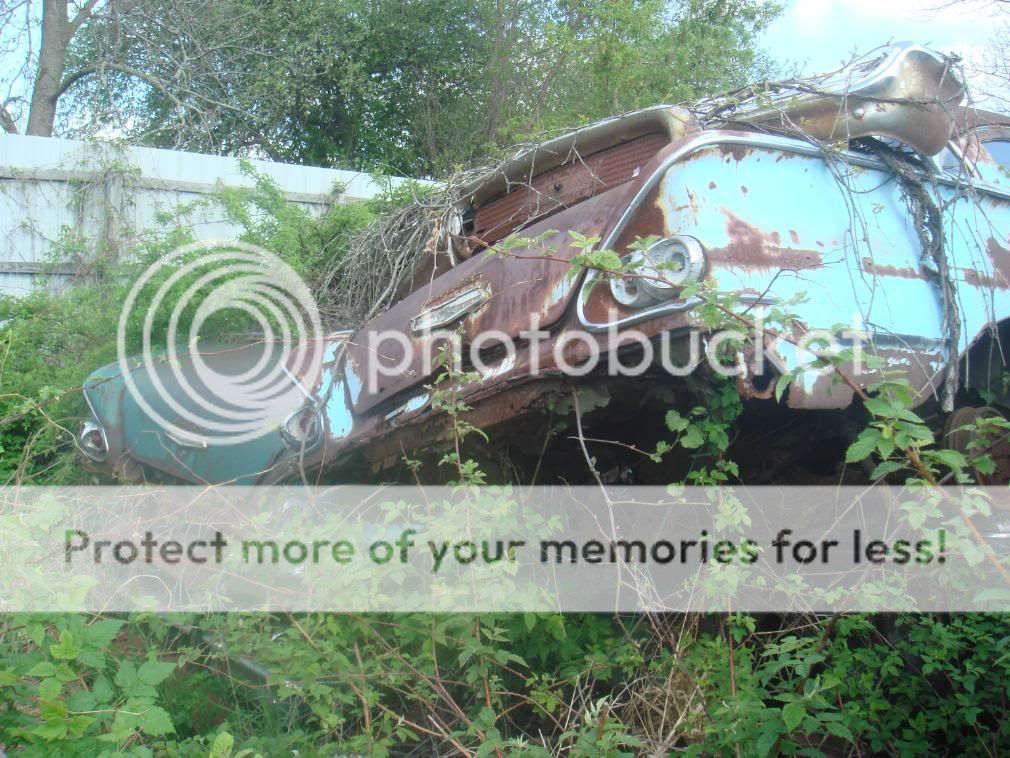 Lost and Abandoned Rusty Impala Pics | Page 8 | Impalas.net