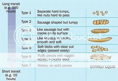Quel type de caca faites vous?