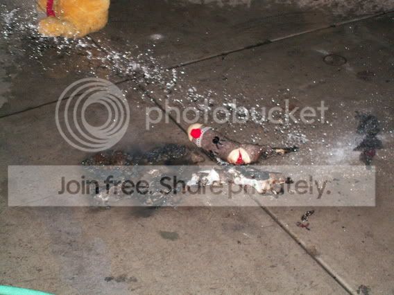 The Great Stuffed Animal Burn Of 2005 Or How SorryGuy Lost His Mind ...